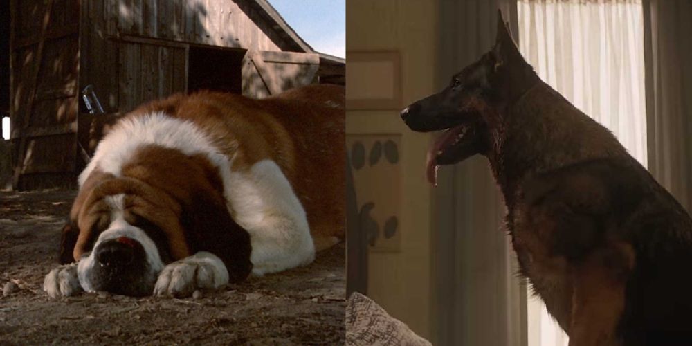 Castle Rock: 10 Stephen King-Inspired Movies That Overlap With The Show