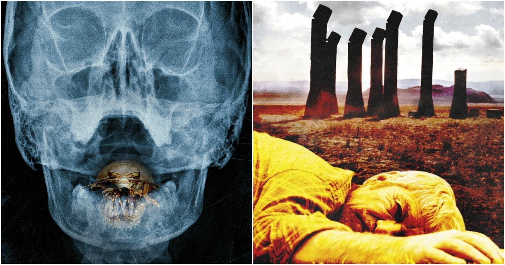 10 Terrifying Eco-Horror Movies