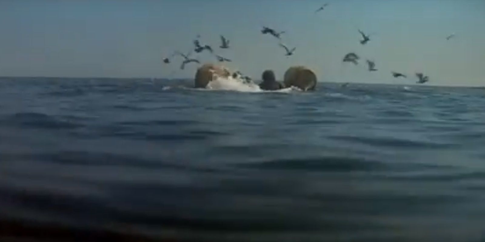 Steven Spielberg's 10 Best Closing Shots, Ranked