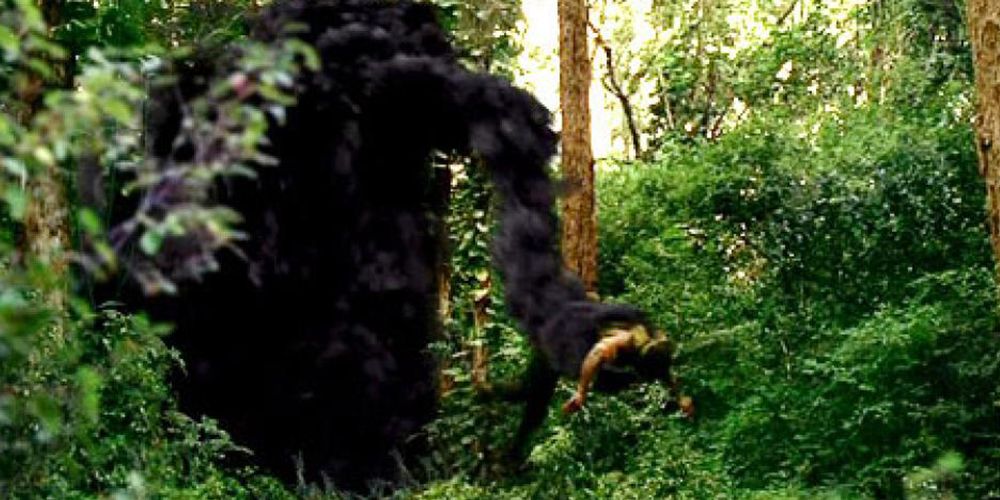 LOST: 9 Fan Theories That Didn't Pan Out (& 1 That Did)