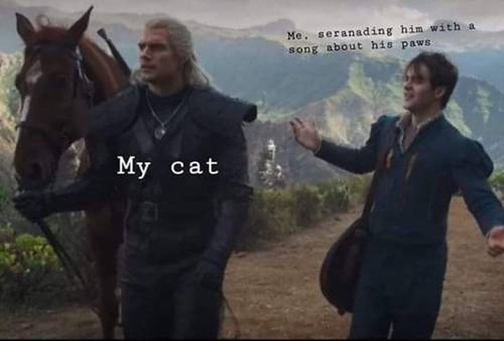 The Witcher: 10 Hilarious Jaskier Memes That Will Make You Cry Laughing