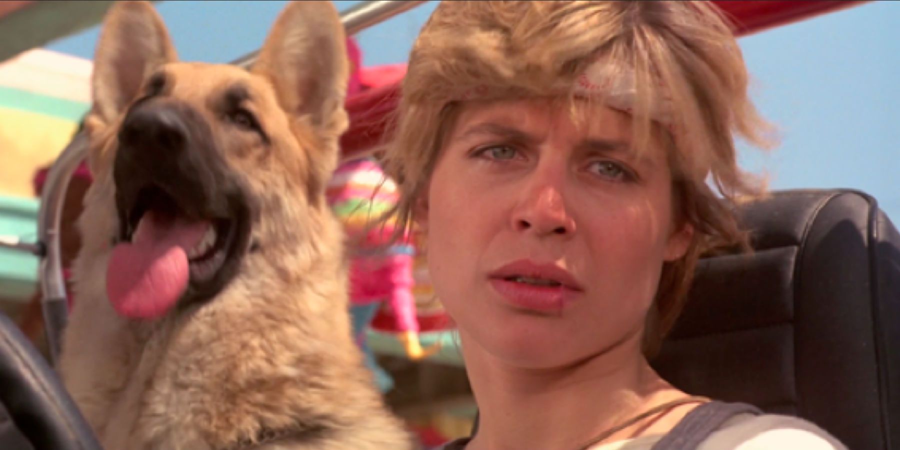 Why Dogs Can Detect Terminators