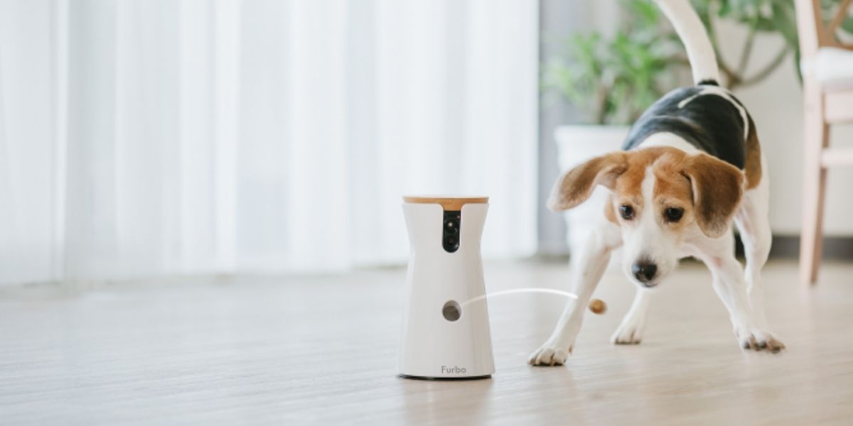 10 Awesome Things You Didn't Know Your Amazon Alexa Can Do