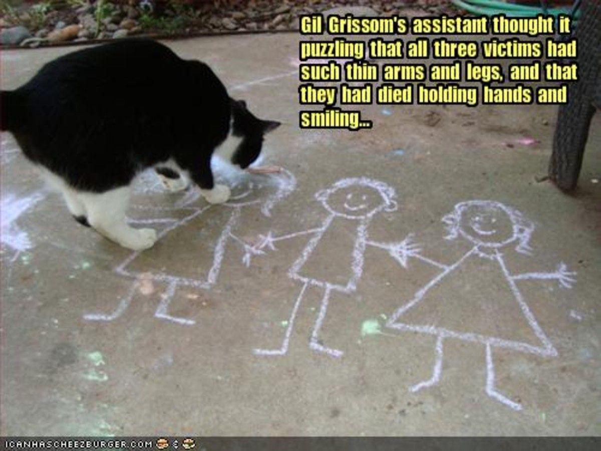 10 Hilarious CSI Memes Only Devoted Fans Would Understand