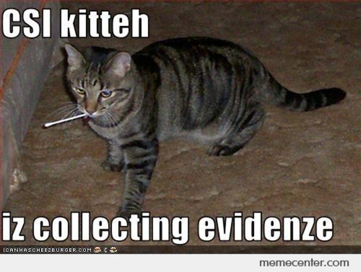 10 Hilarious CSI Memes Only Devoted Fans Would Understand