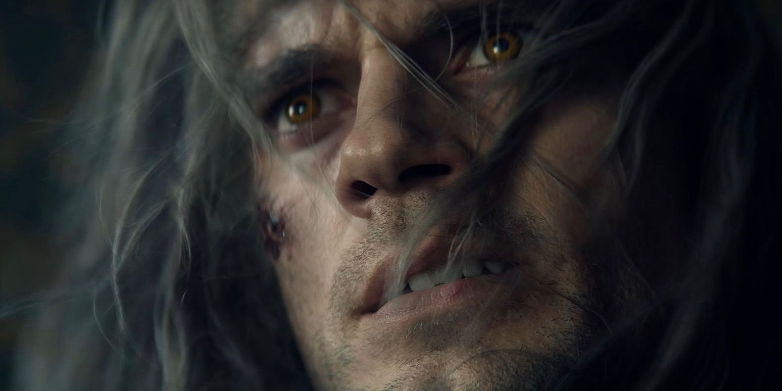 Netflix's The Witcher: 15 Best Quotes On The Show