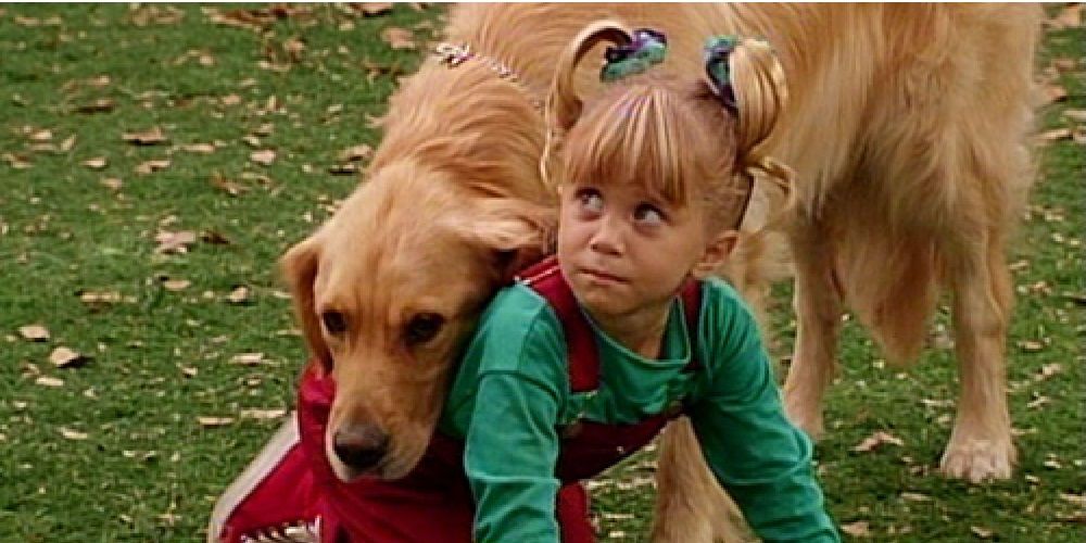 10 Animals Featured on Full House