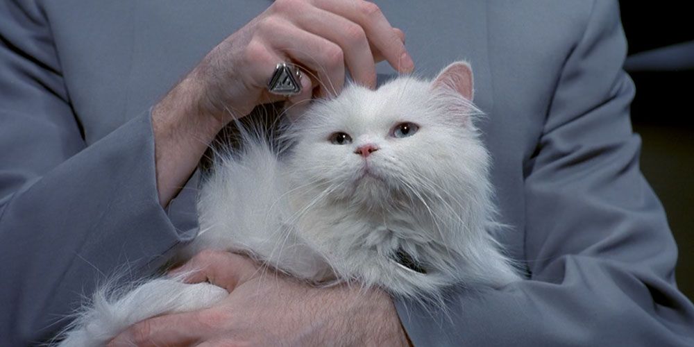 Austin Powers: The 20 Best Dr. Evil Quotes