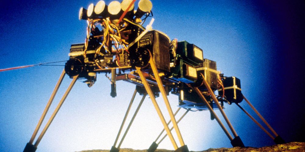 10 Works By Errol Morris You Should Watch Right Now If You Love ...