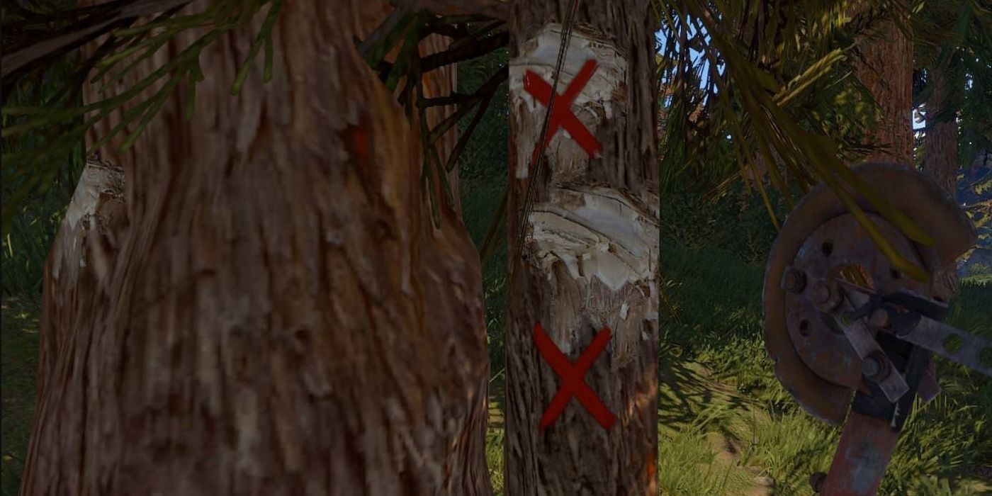 Rust: 5 Essential Tips & Tricks for New Players