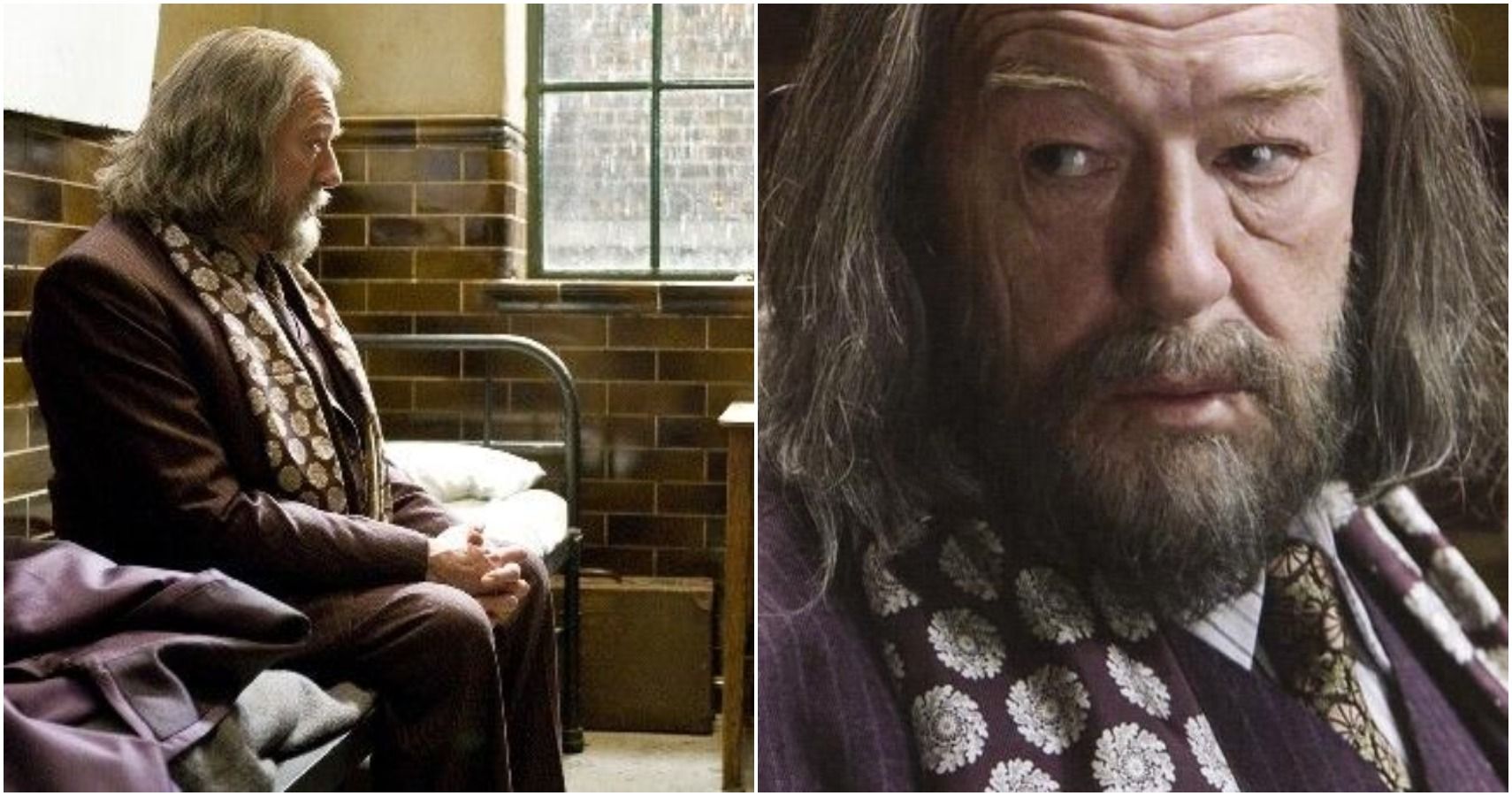 Harry Potter: Dumbledore's Best Outfits in the Franchise