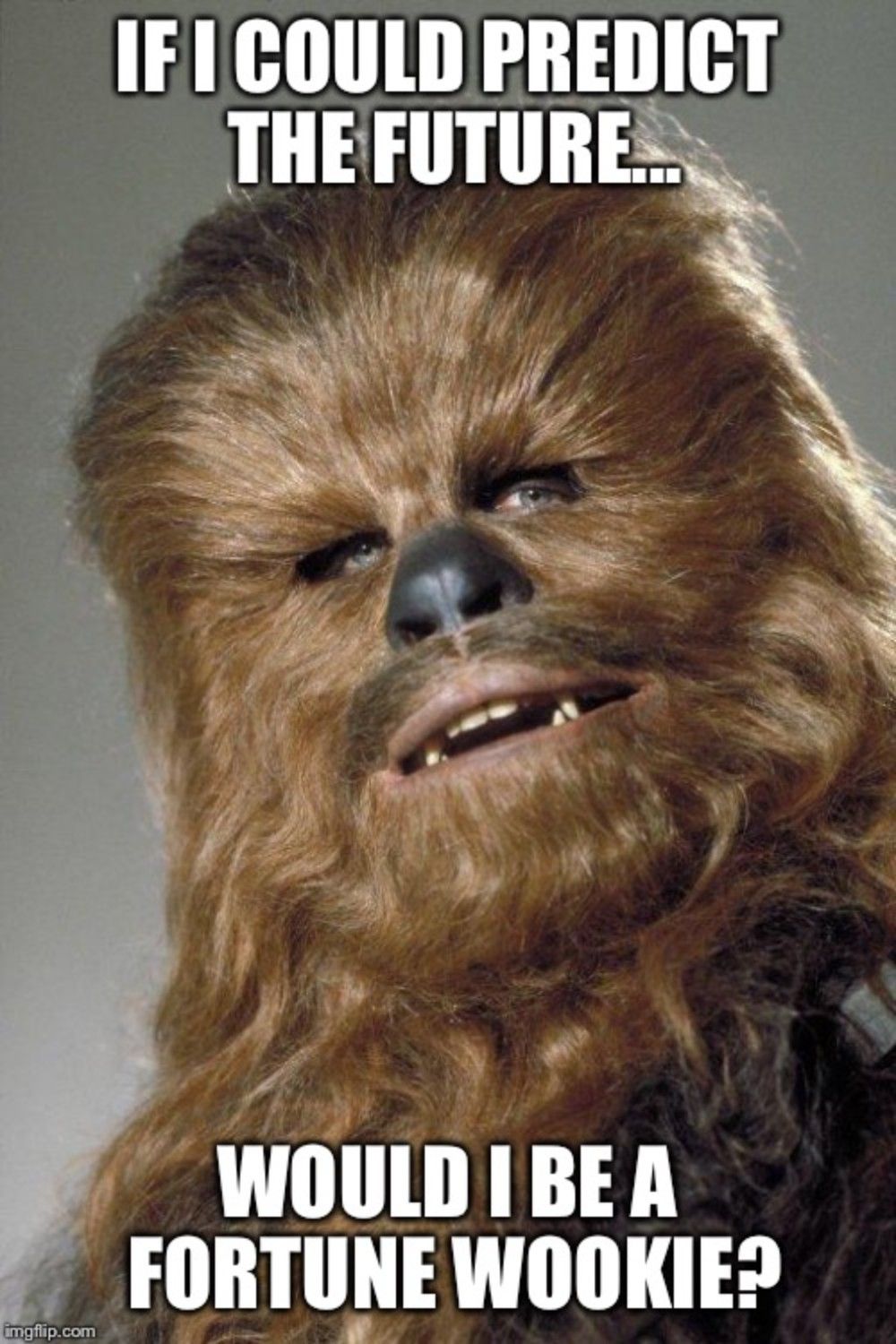 Star Wars: 10 Chewbacca Memes That Are Just Too Funny