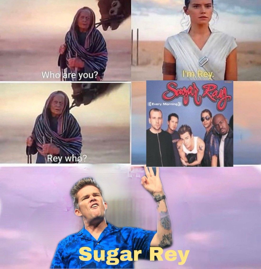 Star Wars: 10 Rey Skywalker Memes That Are Just Too Funny