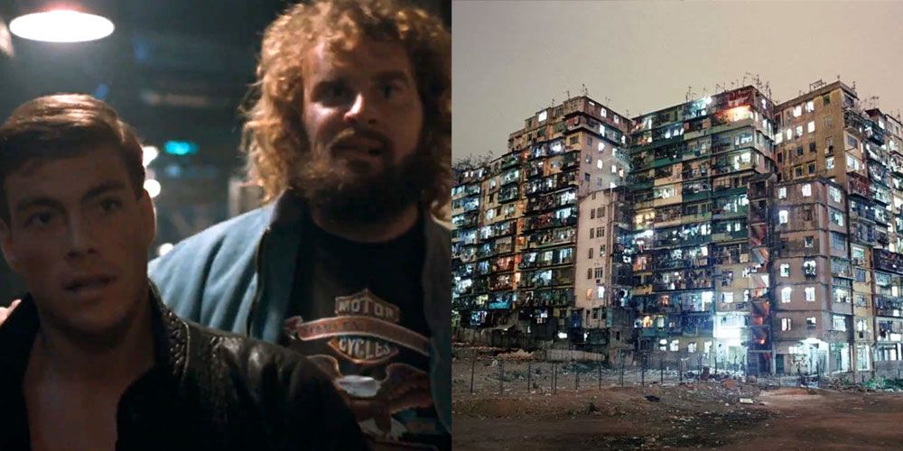 10 Things You Never Knew About Bloodsport