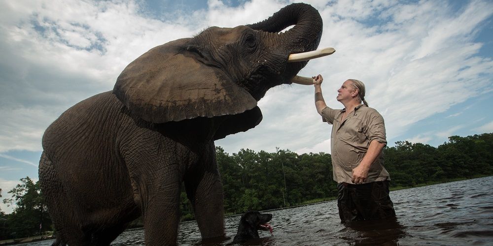 Tiger King: 10 Things You Didn't Know About Doc Antle