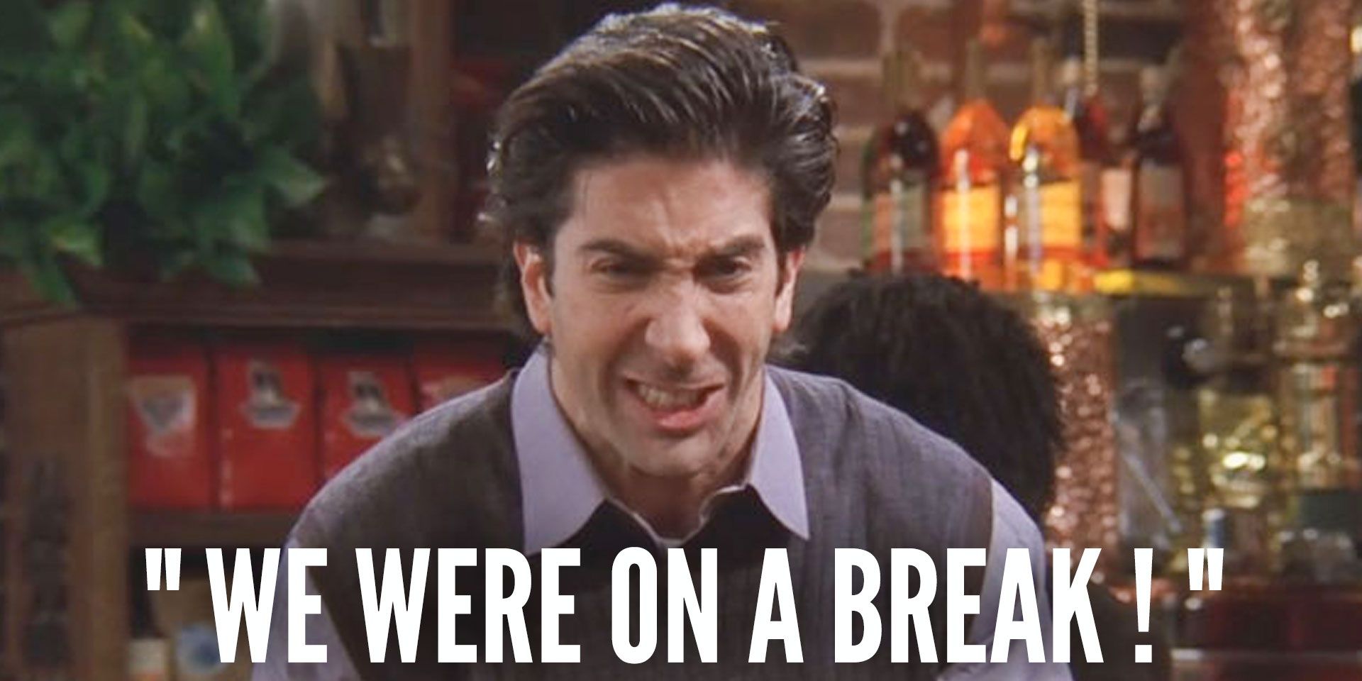 Friends: 10 Hilarious Ross One Liners
