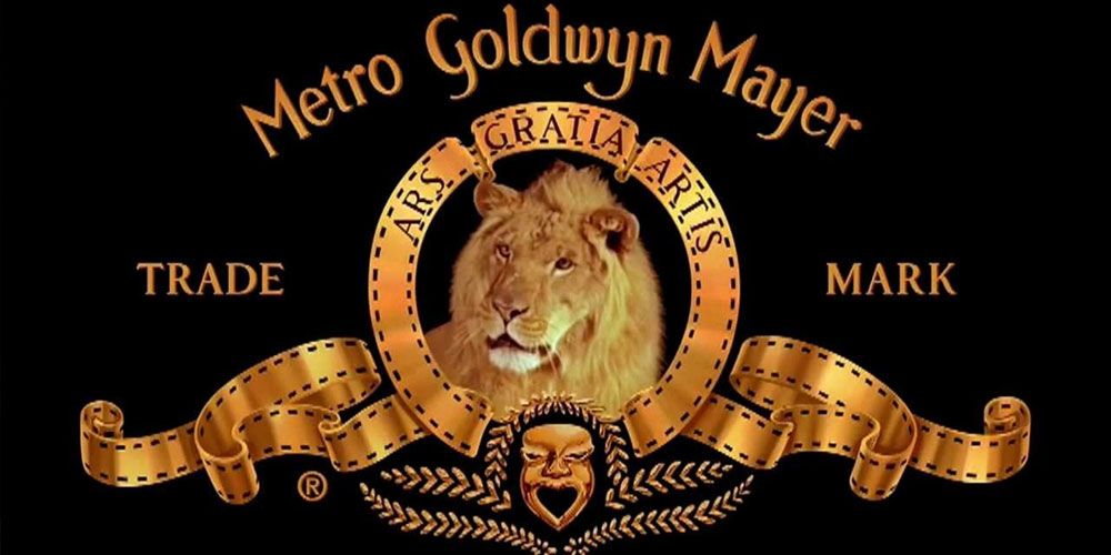 10 Coolest Cats In Live-Action Movies