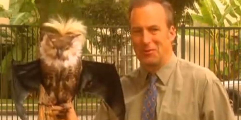 Better Call Saul: Bob Odenkirk's 10 Best Other Recurring Roles ...