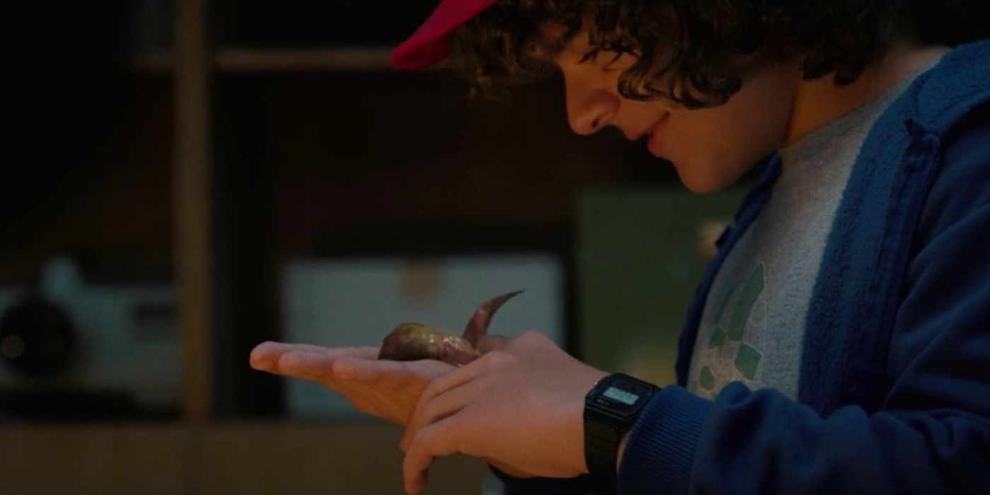 Stranger Things: 10 Reasons Why Dustin & Lucas Aren't Real Friends