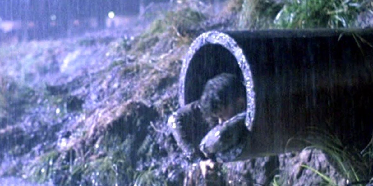 10 Continuity Errors In The Shawshank Redemption