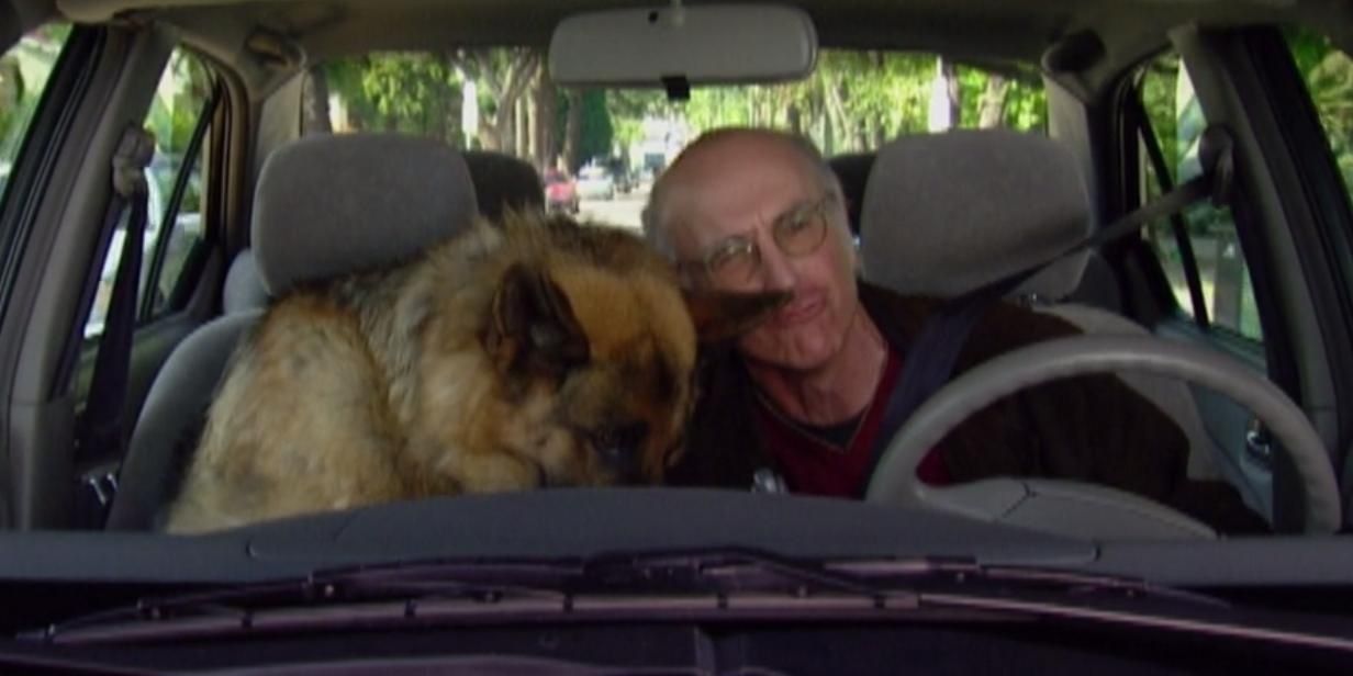Curb Your Enthusiasm: 15 Best Larry David Quotes