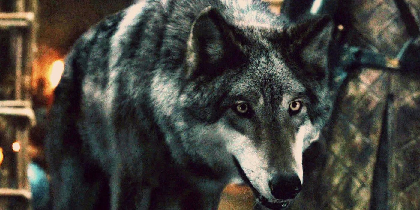 Game of Thrones' Beasts, Pets & Animals, Ranked