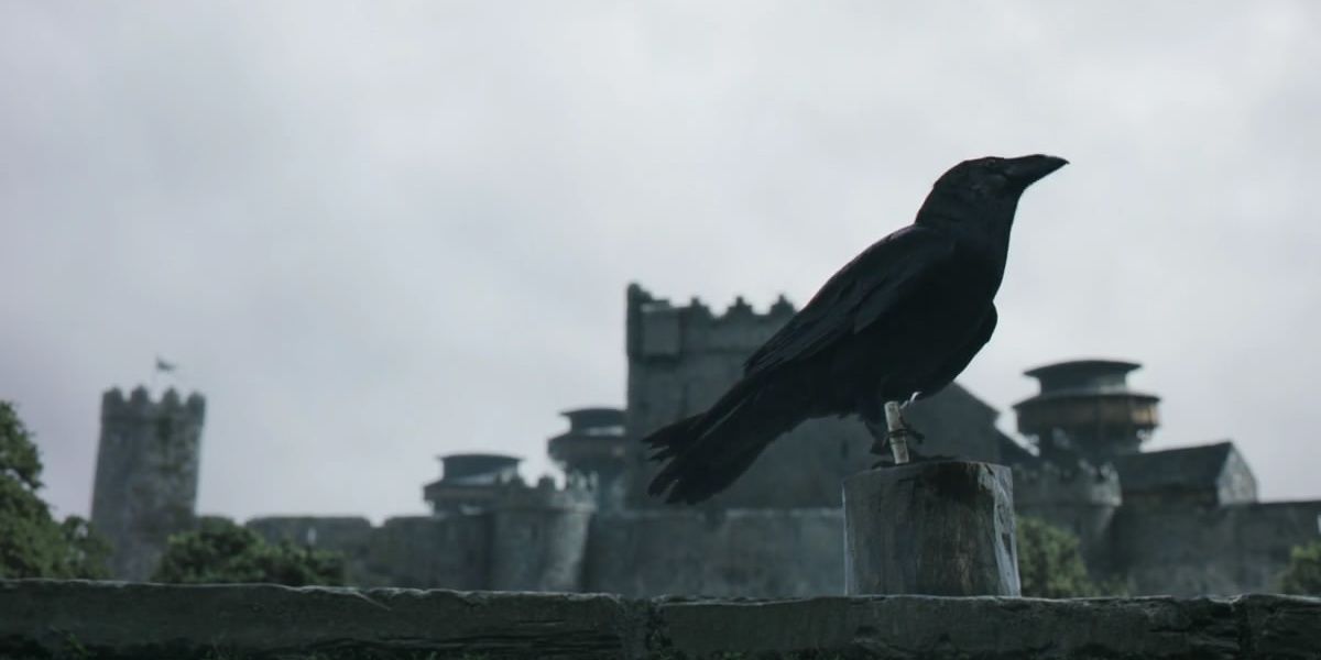 Game of Thrones' Beasts, Pets & Animals, Ranked
