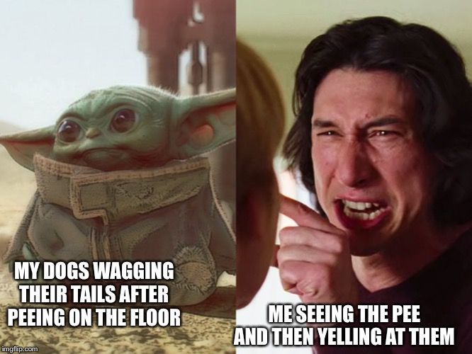 Angry Yoda Memes Master #Yoda #Meme (@YODA_Meme) / X