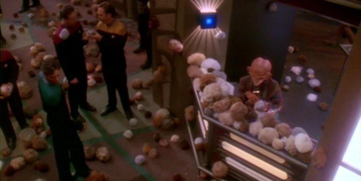 Star Trek: The Klingons' Greatest Enemy Were The Tribbles, Not Starfleet