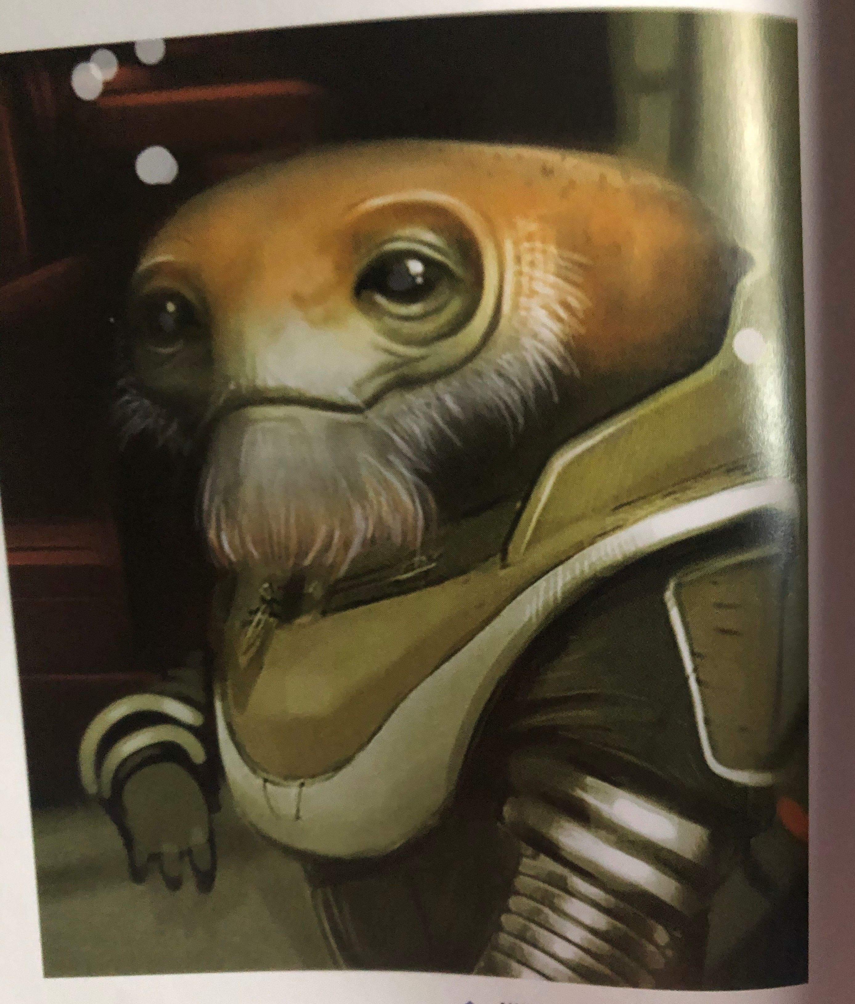 Rise of Skywalker’s Babu Frik Has Some WEIRD Alternate Designs
