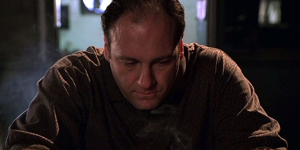The Sopranos: 10 Best Episodes Of Season 1, According To IMDb