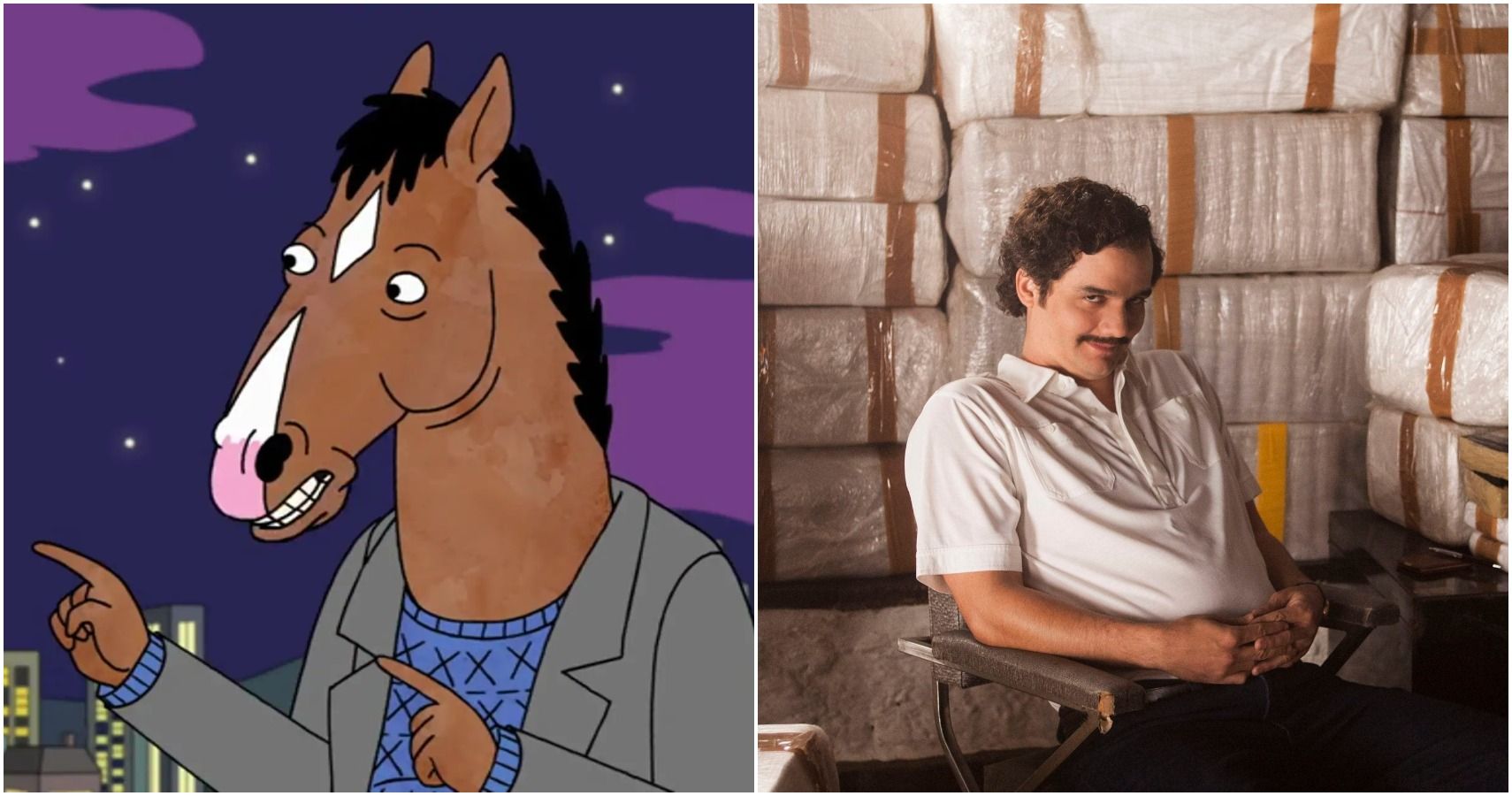 Bojack horseman zodiac 60 photos - Astrologytoyou.com