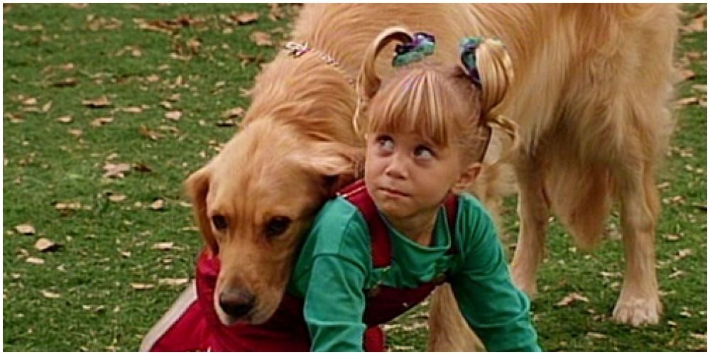 The 10 Most Iconic Dogs In TV History, Ranked