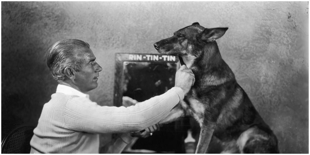 The 10 Most Iconic Dogs In TV History, Ranked