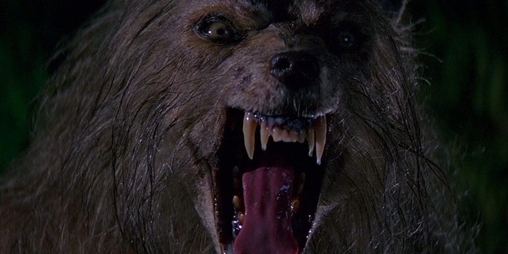 5 Best Movie Werewolves (& 5 Worst)