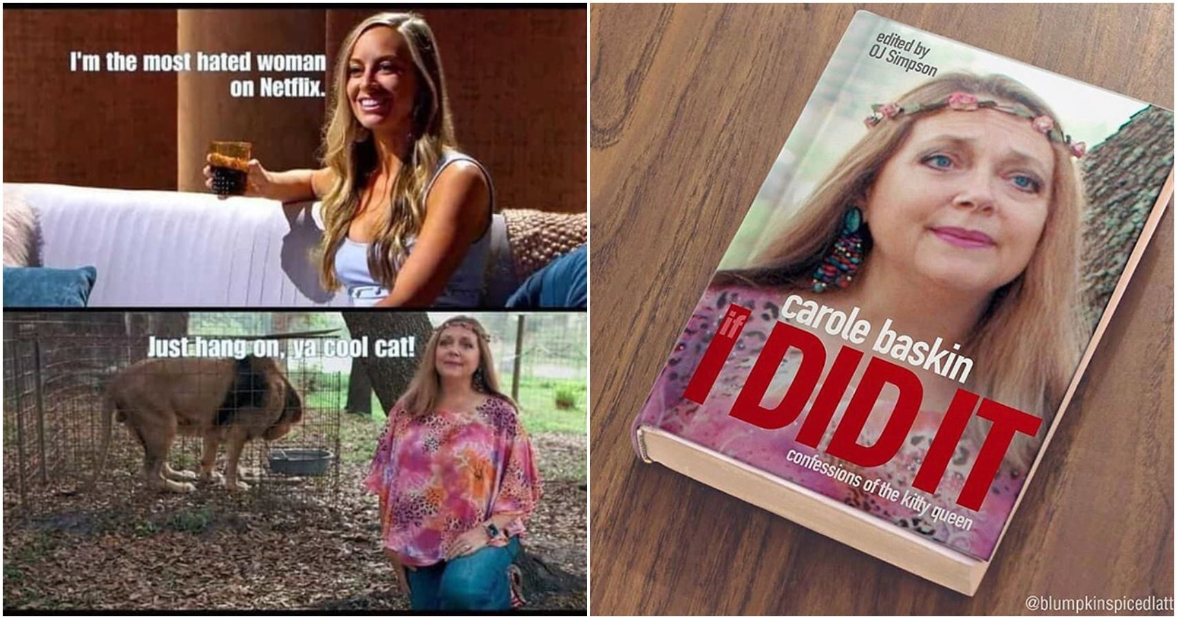 Tiger King: 10 Carole Baskin Memes That Will Have You Cry-Laughing