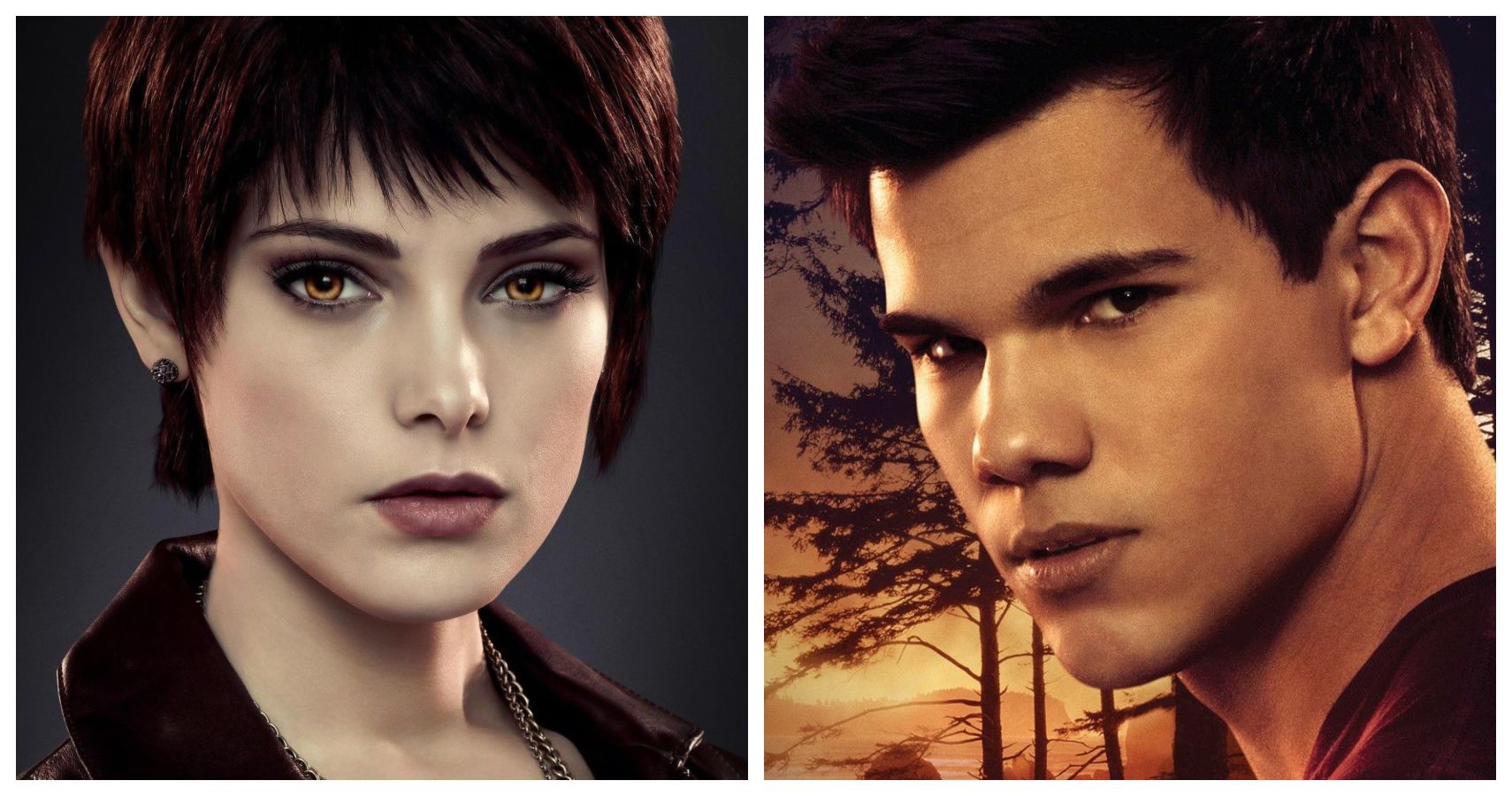 Twilight: 10 Characters Who Could Easily Have Been Made LGBT