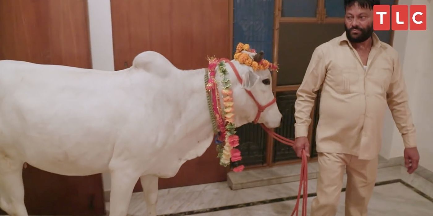 90 Day Fiancé: The Tradition Behind Sumit Bringing A Cow Into New Home ...