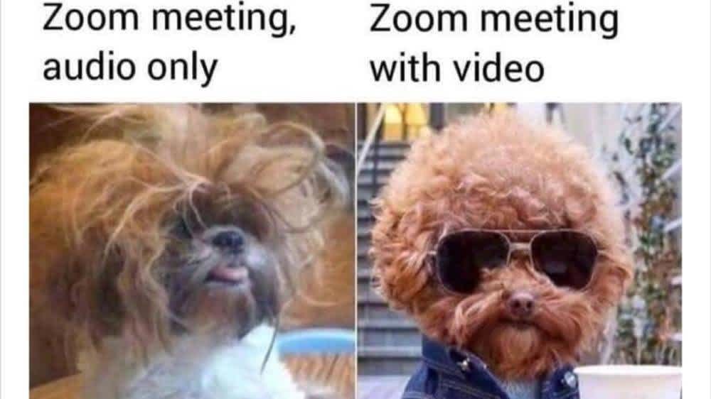Best Work From Home Memes To Share With Friends & Co-Workers