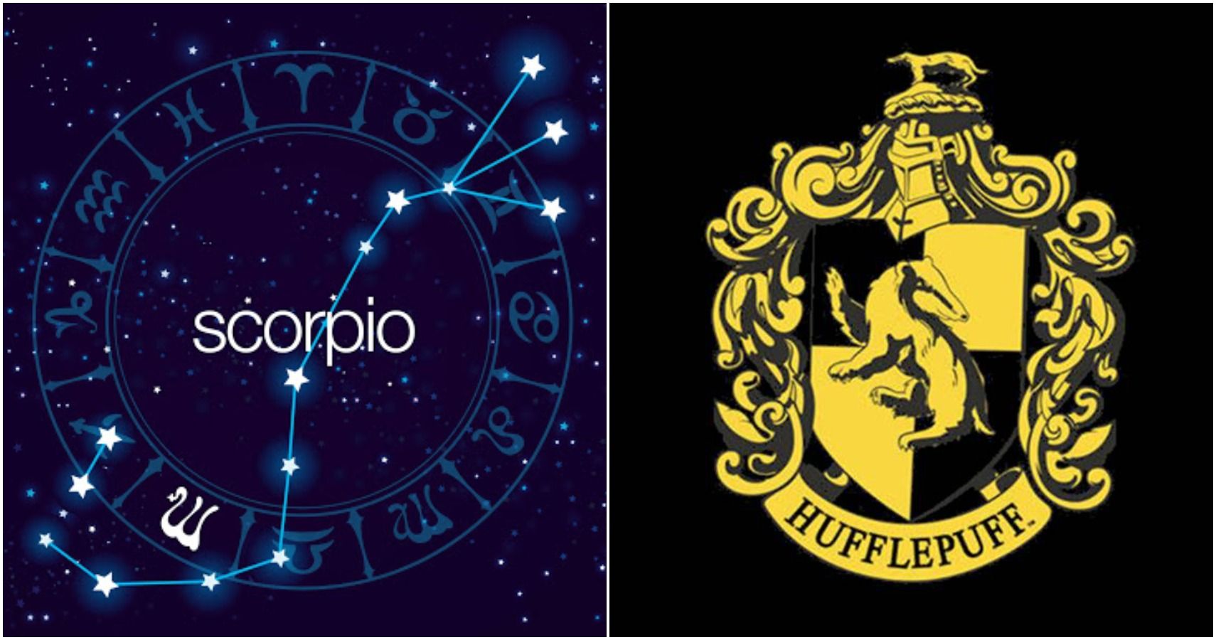Harry Potter: 5 Ways Scorpio Are Typical Hufflepuffs (& 5 They Are Not)