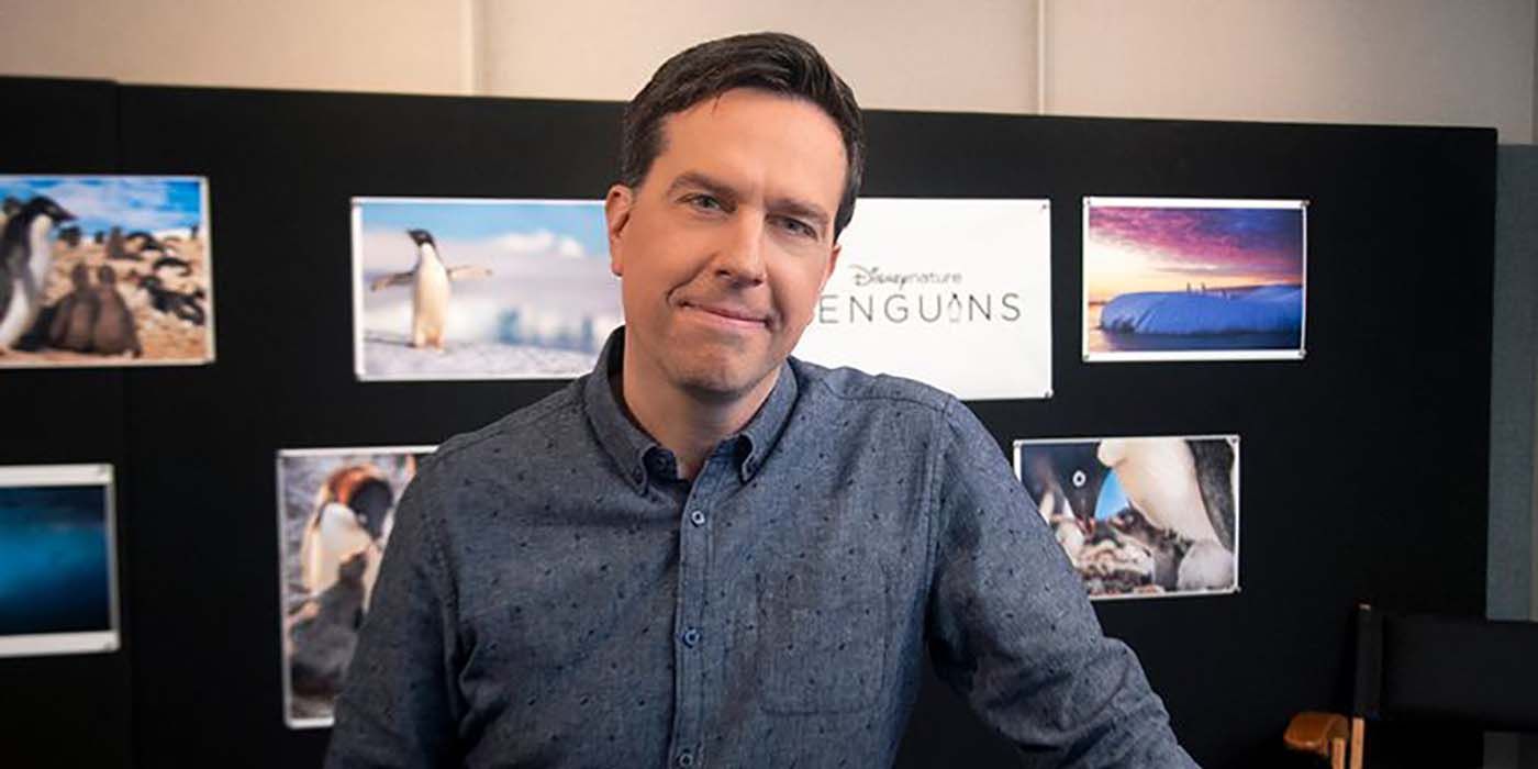 10 Actors You Forgot Were Once Daily Show Correspondents