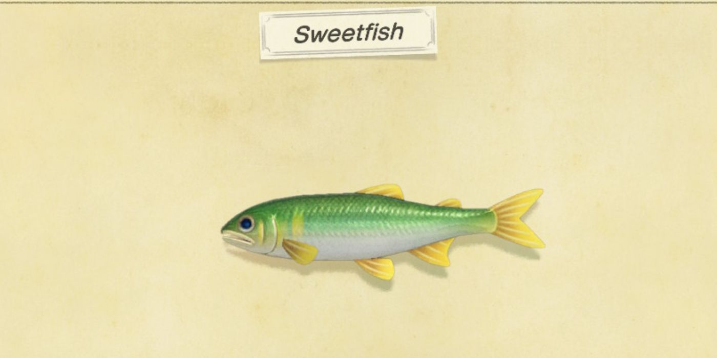 How to Catch the Sweetfish in Animal Crossing: New Horizons