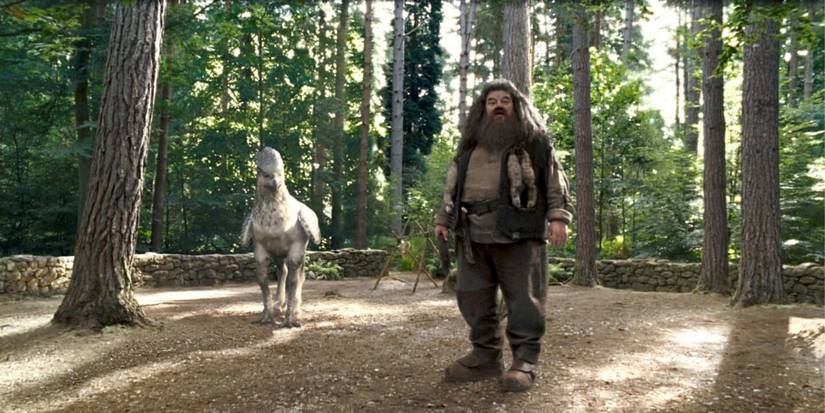 Harry Potter: 10 Things You Didn’t Know About Buckbeak