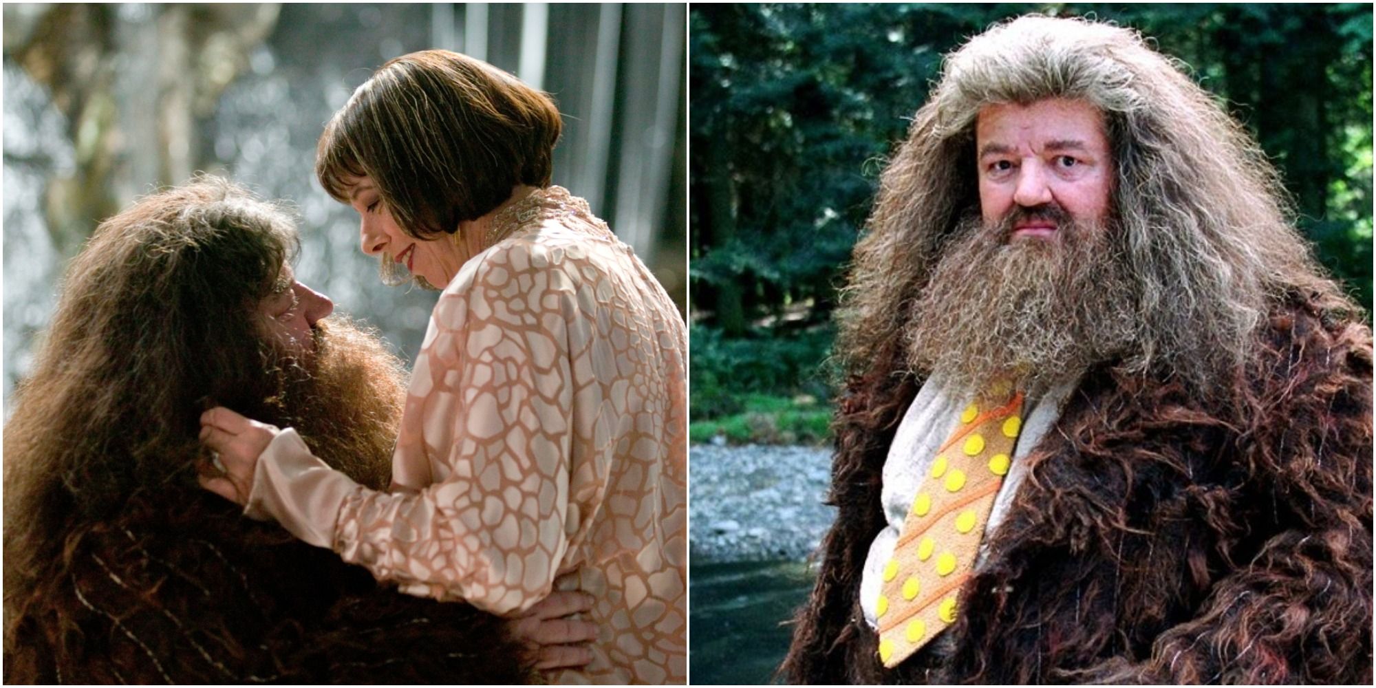 Harry Potter: Are Any Hogwarts Professors Married? - The Relationship ...