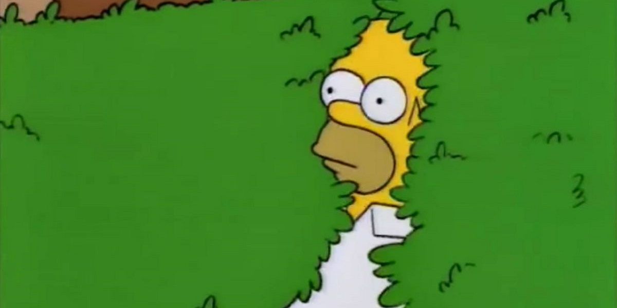 10 Best Scenes From The Simpsons That Became Memes