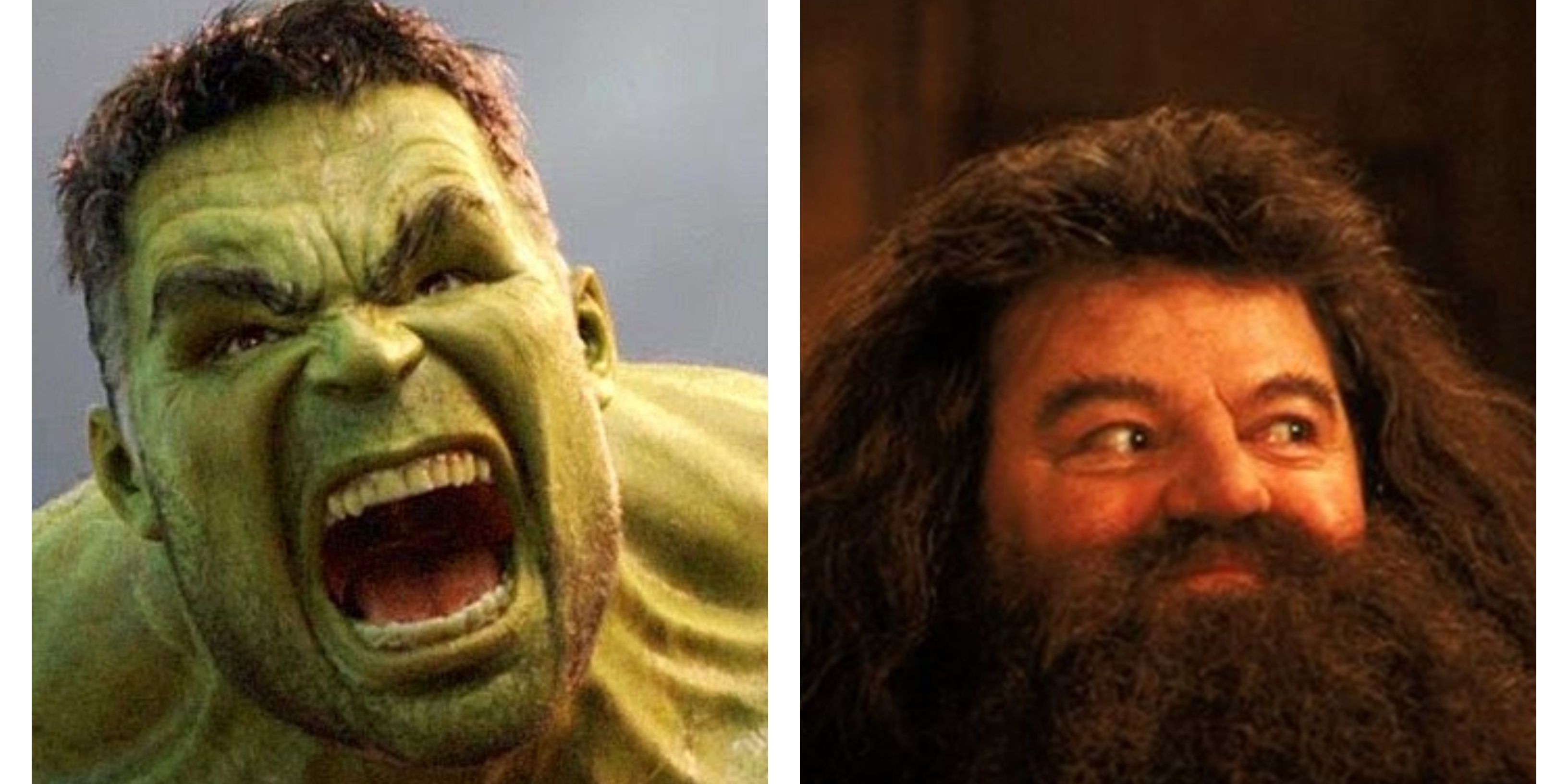 10 MCU Superheroes & Their Harry Potter Counterpart