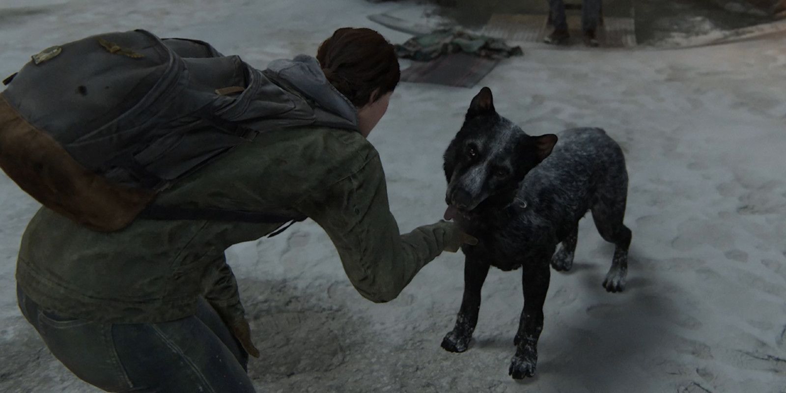 Last of Us 2: Every Wolf Character Backstory Explained