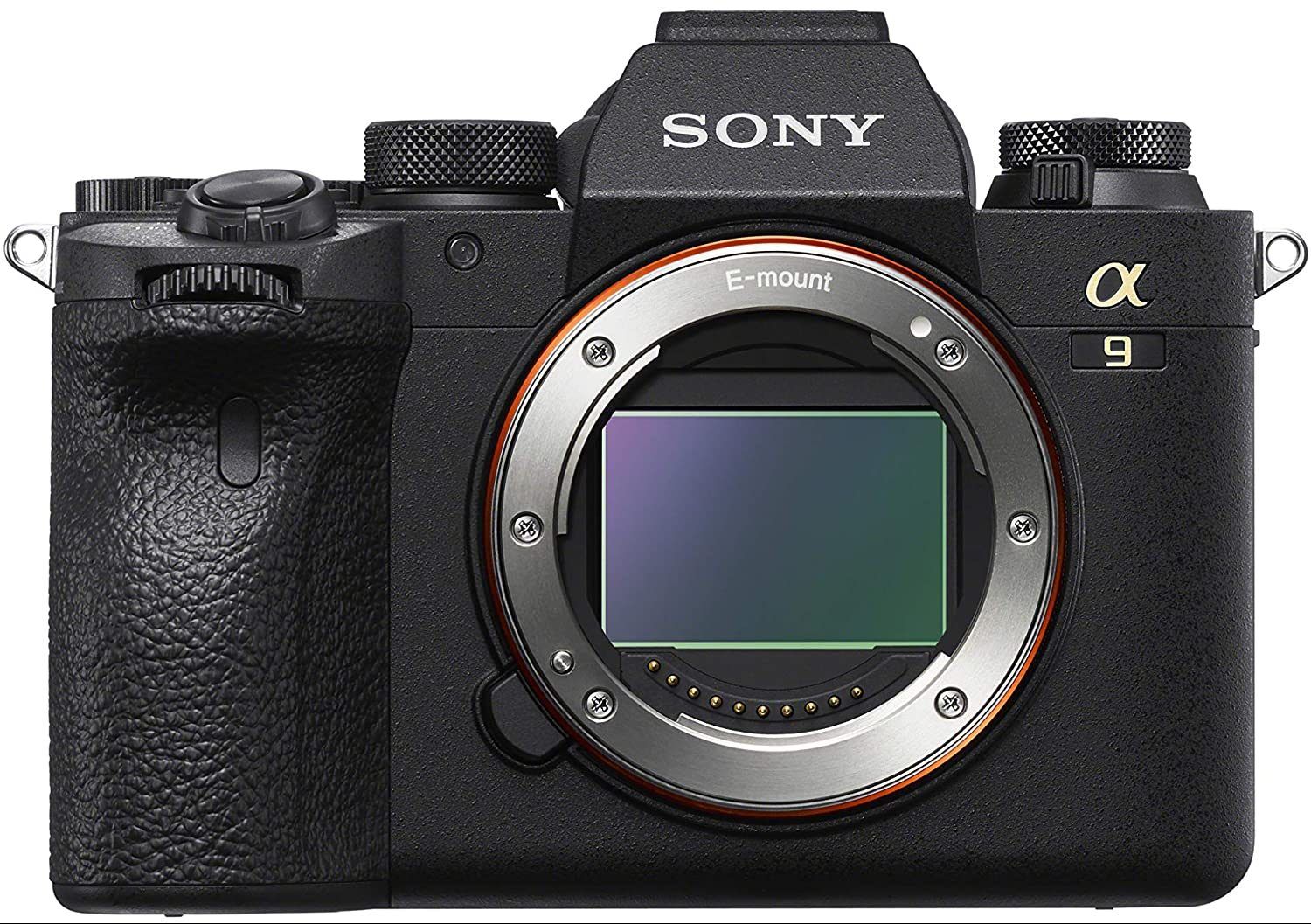 Best Digital Cameras (Updated 2020)