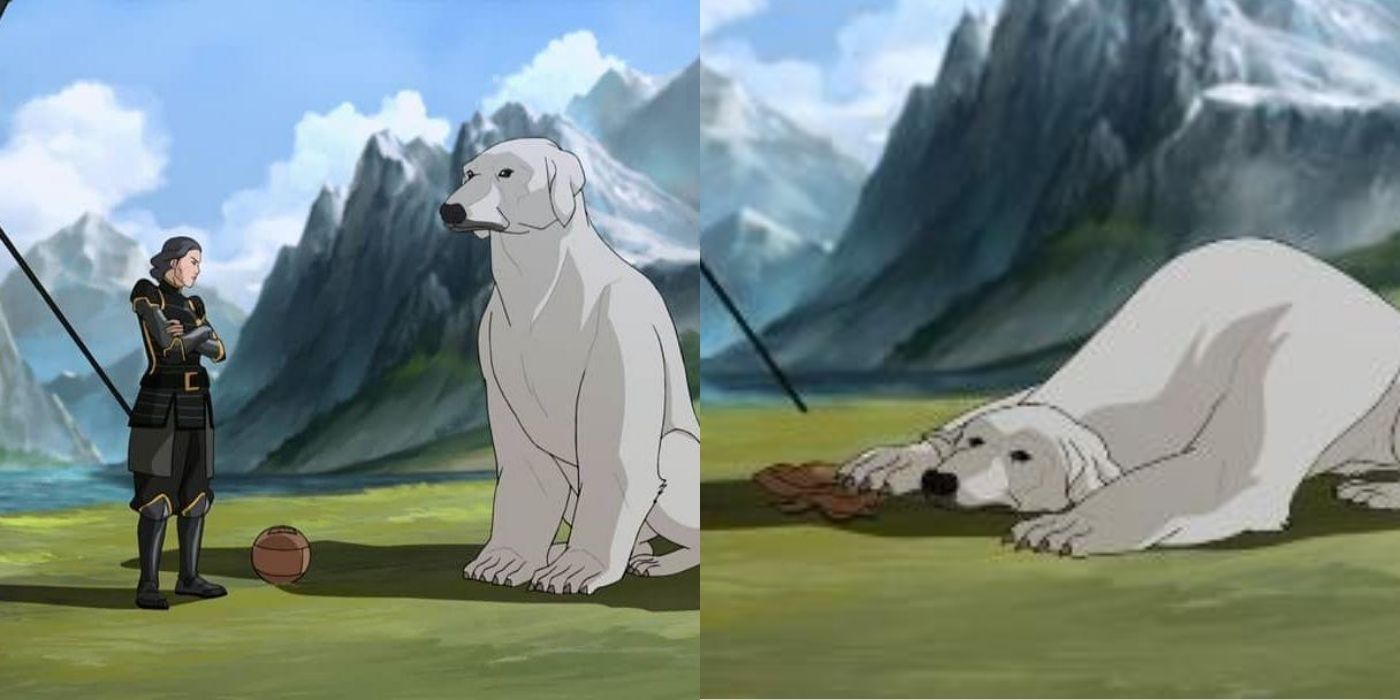 5 Times Appa & Momo Were The Best Part Of Avatar & 5 Times Pabu & Naga ...