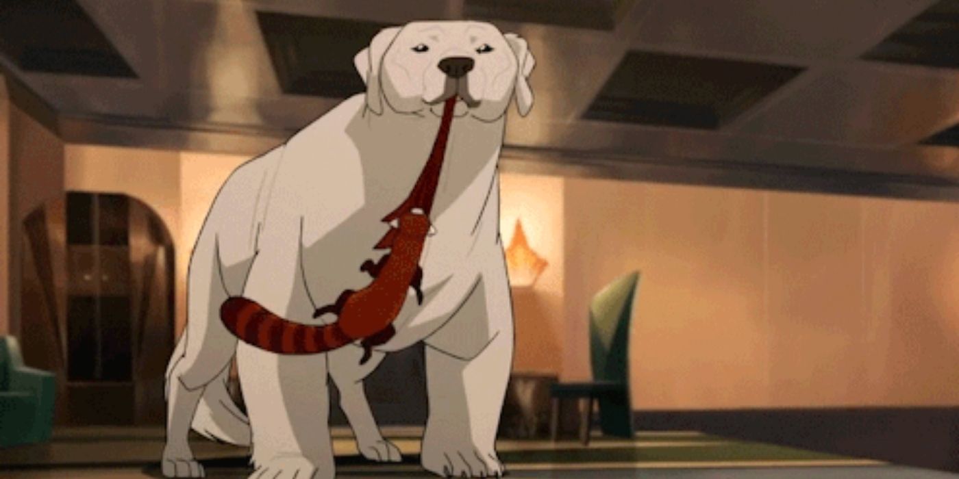 5 Times Appa & Momo Were The Best Part Of Avatar & 5 Times Pabu & Naga ...